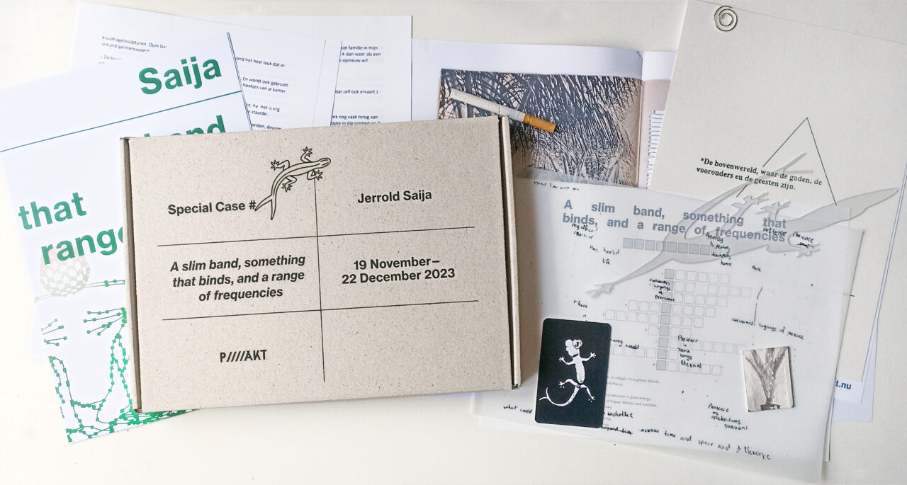 Special Case #2 – Jerrold Saija – pakt.nu